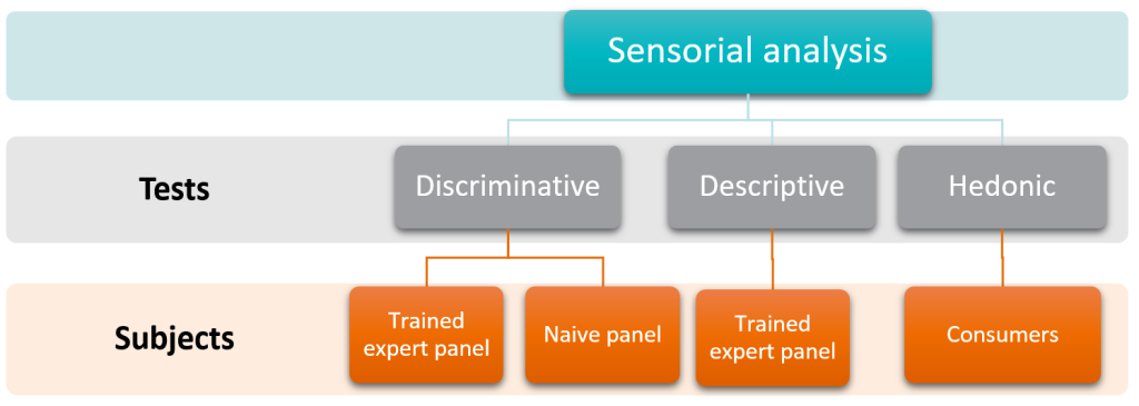 Sensorial analysis: a major asset of the Dermscan Group – Cosmetics ...