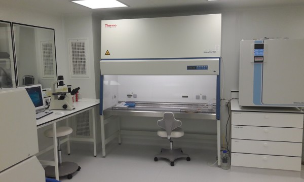 Sterlab, your partner for in vitro safety and efficacy testing ...